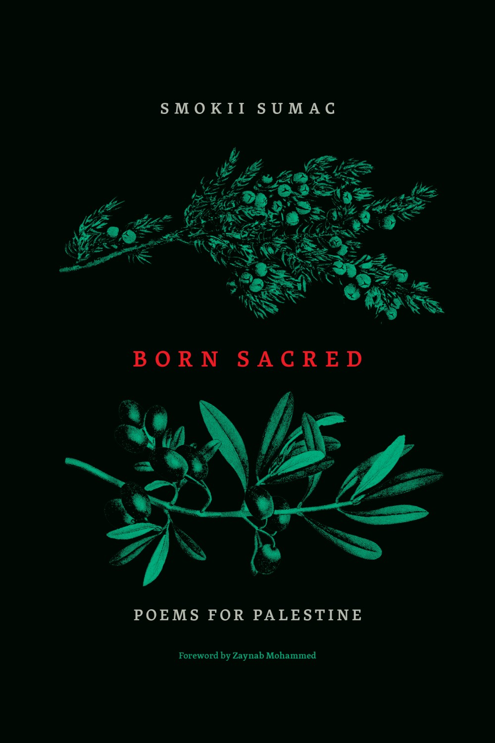 Born Sacred: Poems for Palestine – Fernwood Publishing